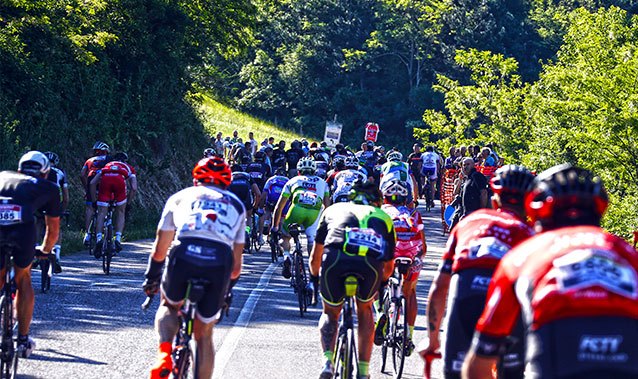 Homepage Nove Colli | Offizielle Website